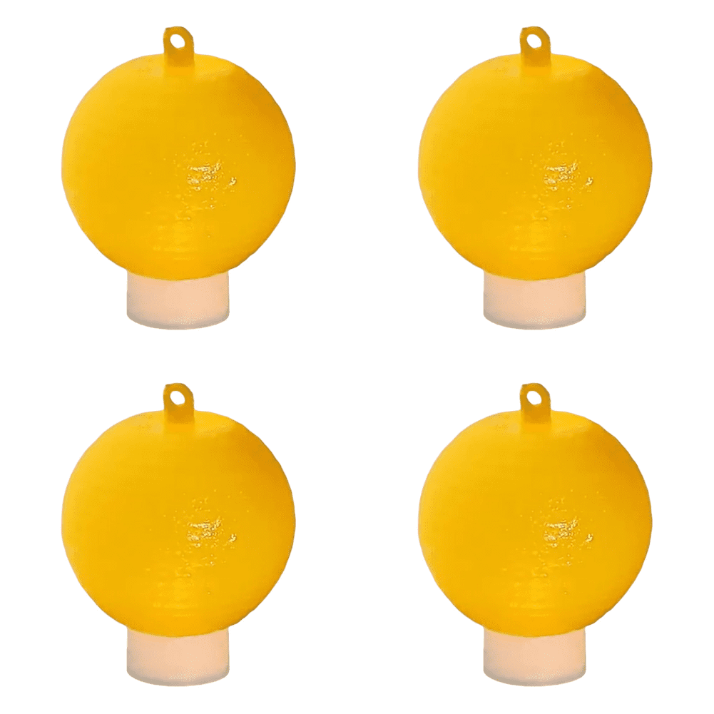 4Pcs Fruit Fly Traps Ball, Citrus Shaped Fruit Fly Traps, Flying ...