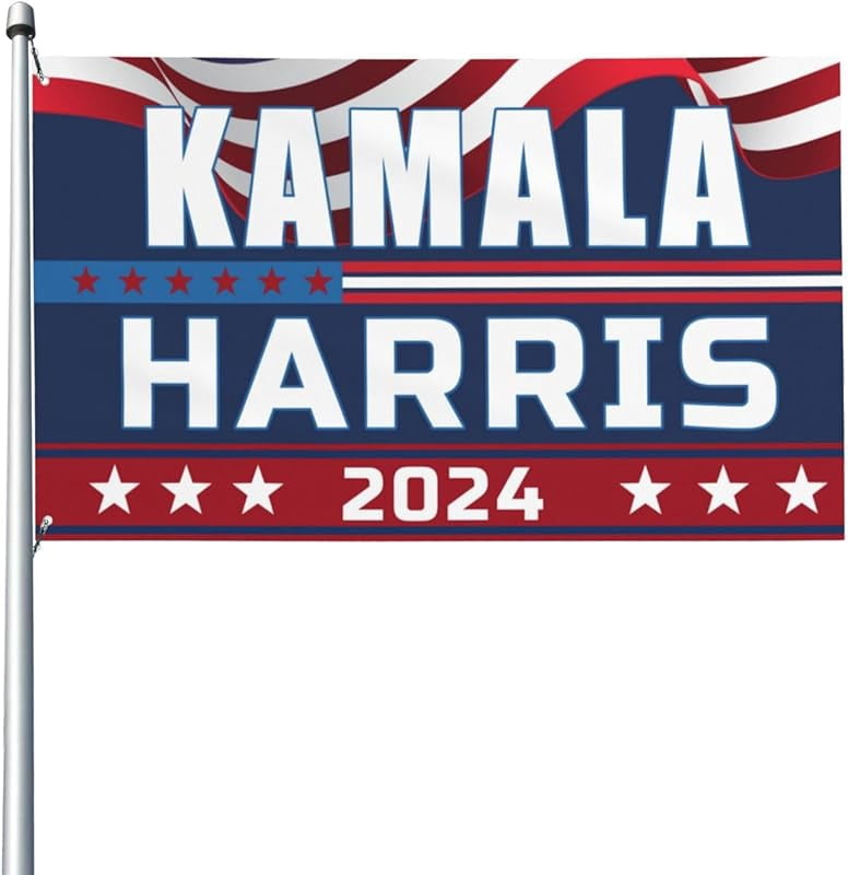 Save Democracy Flag 2024 President Vote Flag, 3x5 Ft Vote Banner ...
