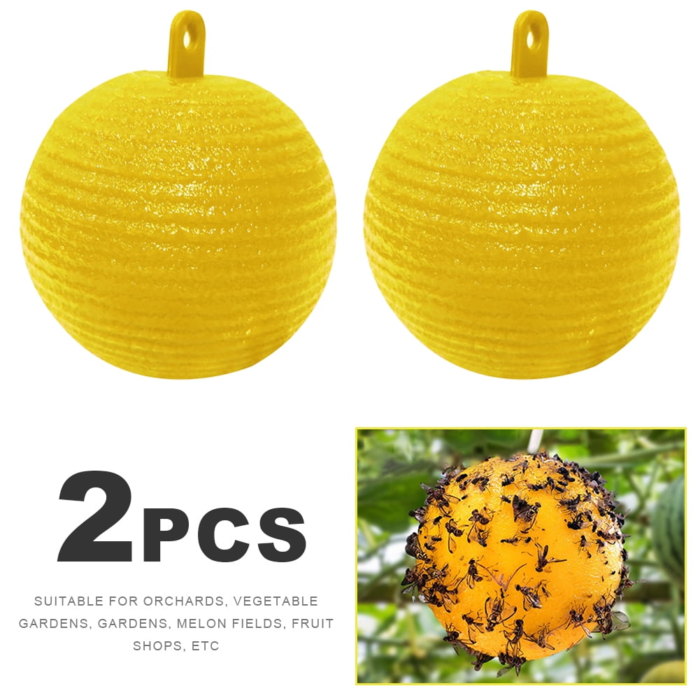 Fruit Fly Sticky Ball Trap, Hanging Fly Sticky Ball Fly Trap Outdoor ...