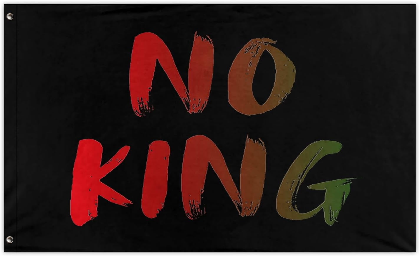 Save Our Democracy No Kings in America Statement Double-layer Flags 3x5 ...