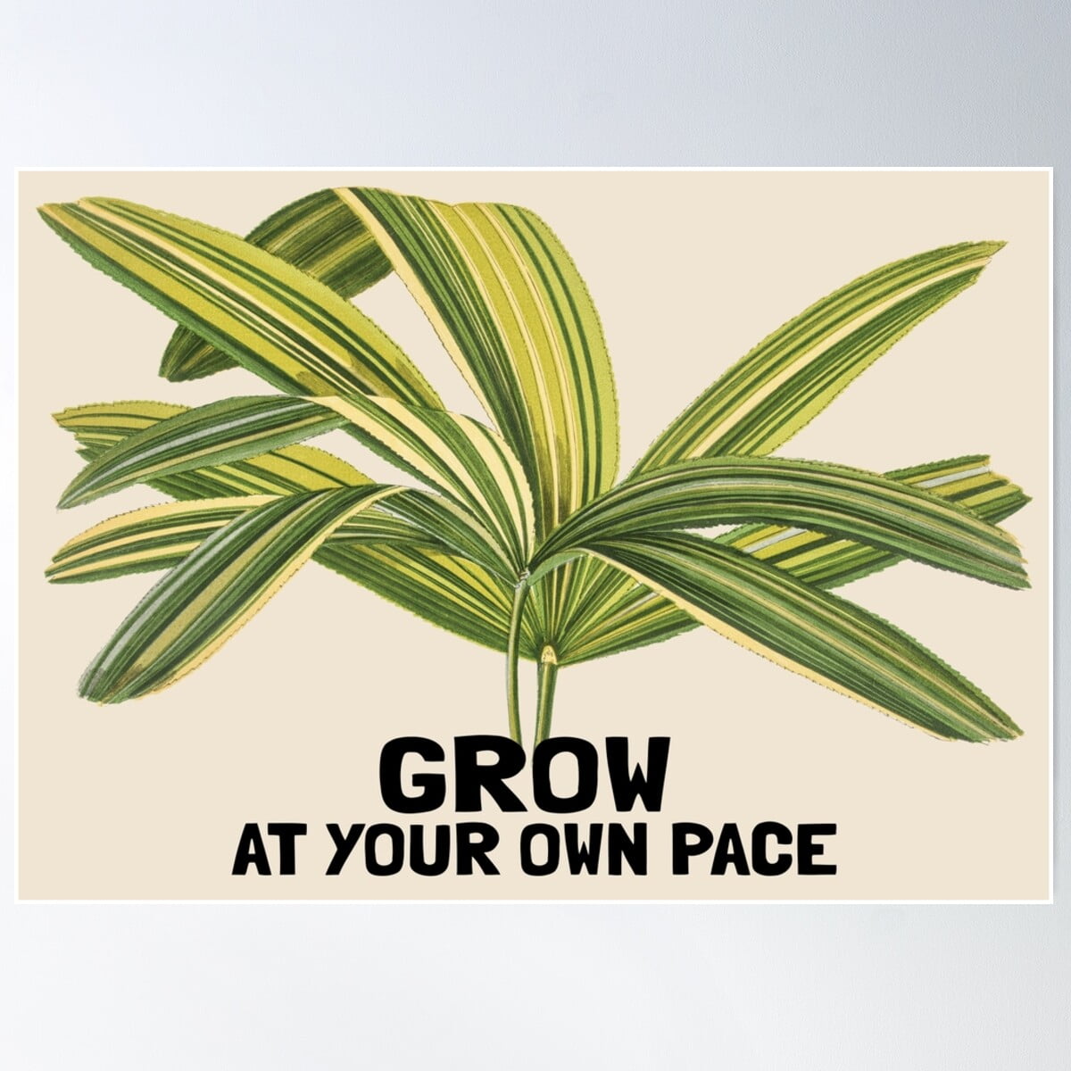 Save The Nature Grow At Your Own Pace Poster Wall Art, Modern Wall ...