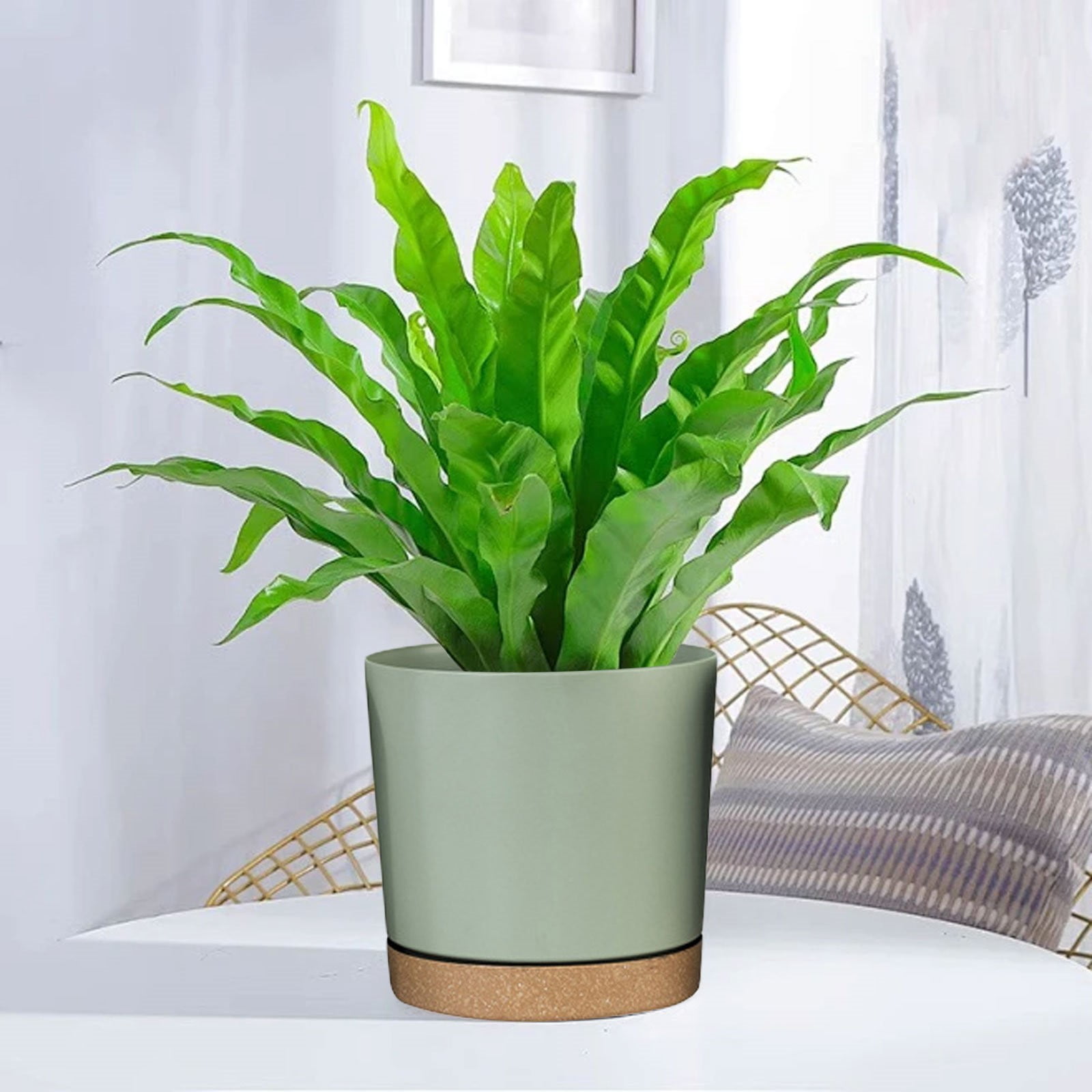 Saving! SSNTSY Flower Pots Plant Pots Set of for Indoor Plants with ...