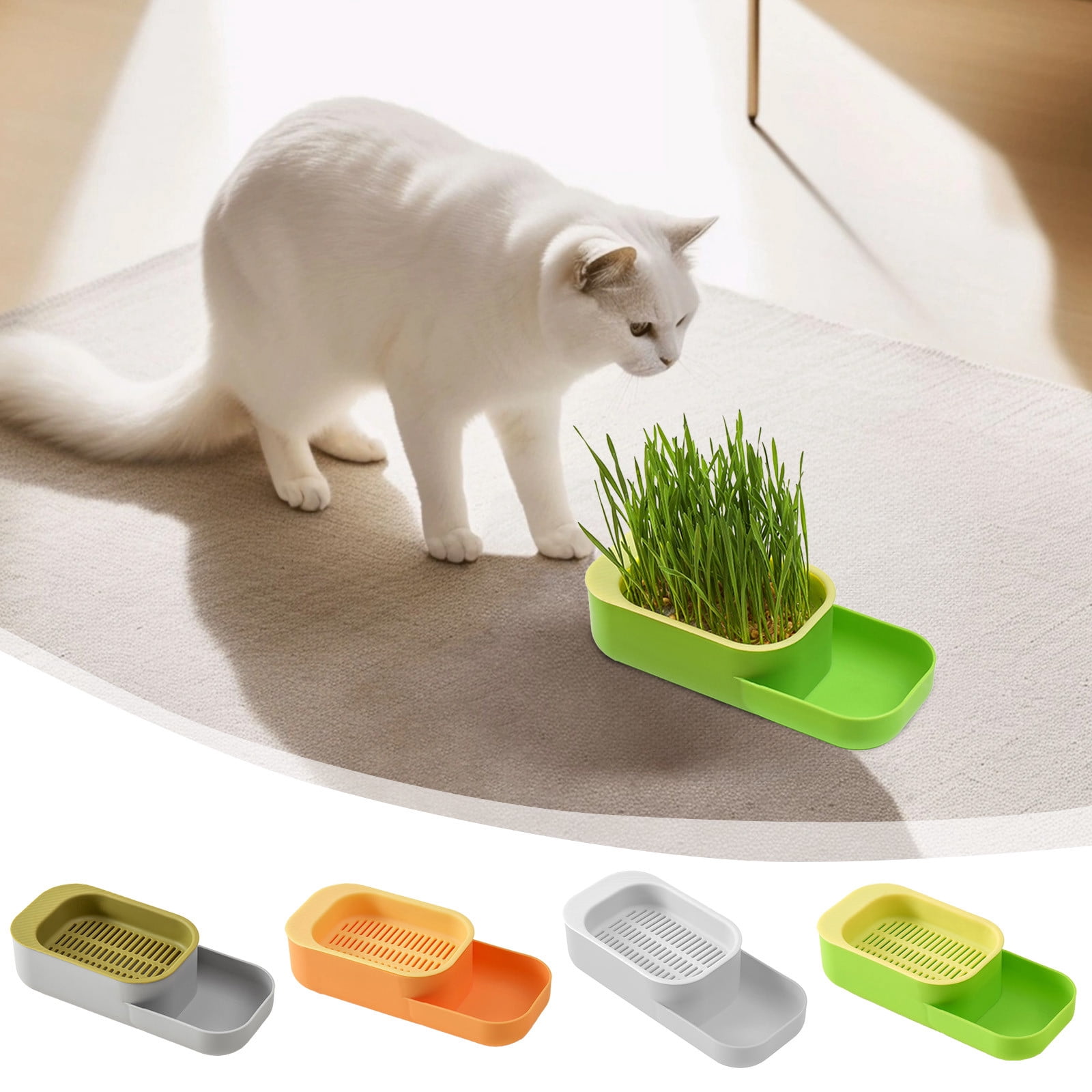 Nsxcdh Cat Grass Growing Kit Soilless Hydroponic Wheat Planter ...