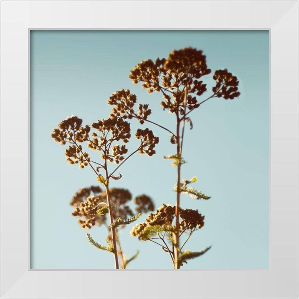 Savogne, Daniela 12x12 White Modern Wood Framed Museum Art Print Titled - First Breath - Walmart.com