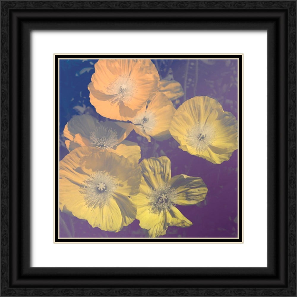 Savone, Daniela 26x26 Black Ornate Wood Framed with Double Matting ...