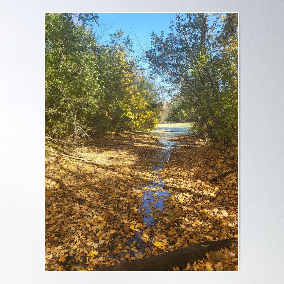 Saw Wee Kee Park Poster Wall Art, Modern Wall Decor For Living Room ...