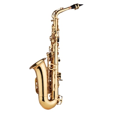 Saxophone,Soprano Sax Woodwind With Carry Cloth Brush Reeds Sax ...
