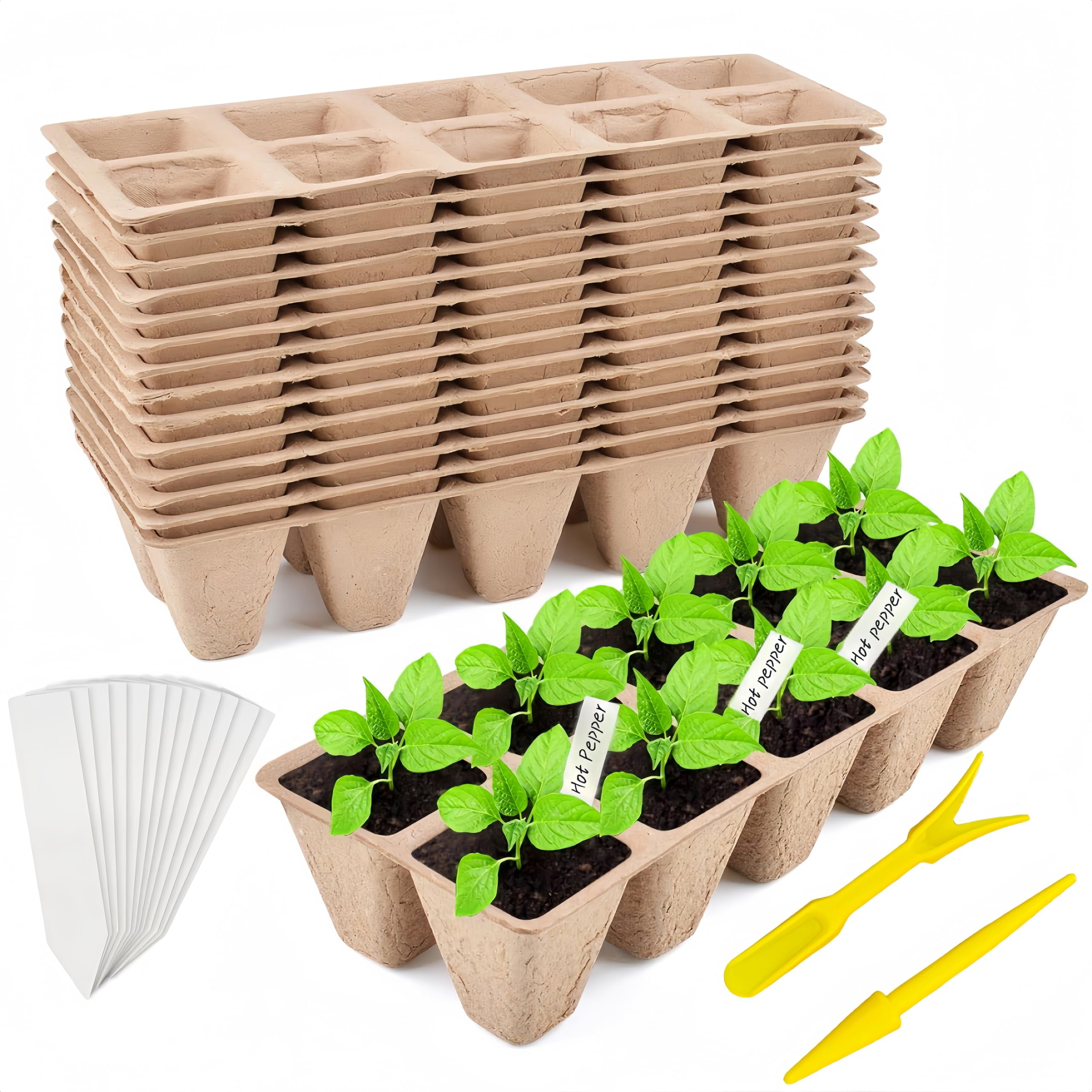 Sayehuanye 240 Cells Peat Pots Seed MVR1 Starter Tray Packs ...