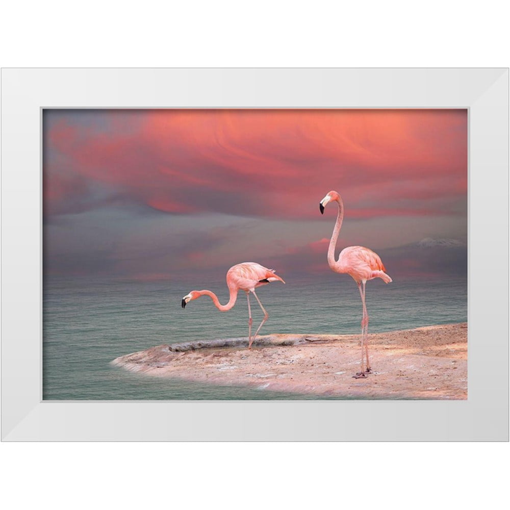 Sazonov, Vladmir 14x11 White Modern Wood Framed Museum Art Print Titled - Pink Flamingos ...
