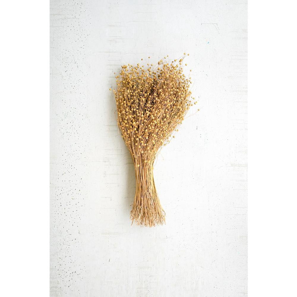 Sb Enterprise Bundle Of Natural Lino Stems - Walmart.com
