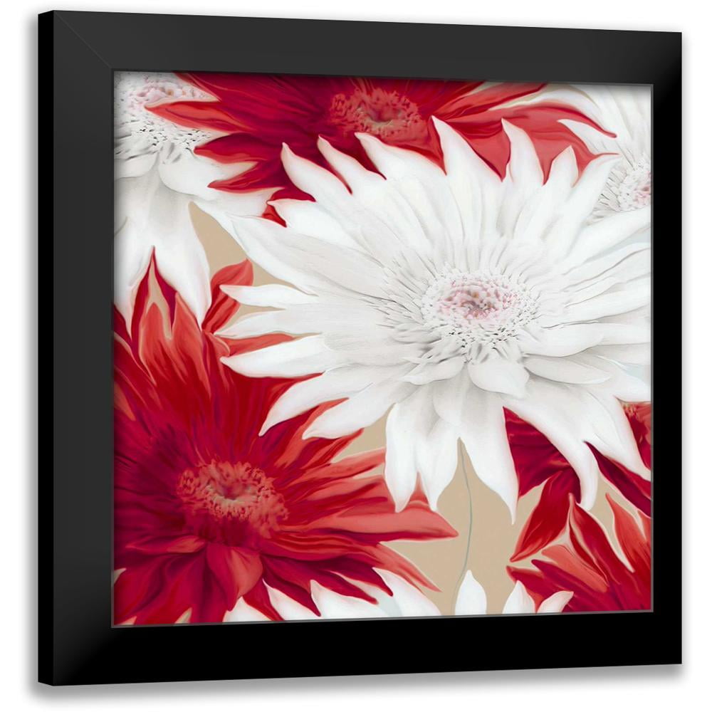 Scaffardi, Sally 12x12 Black Modern Framed Museum Art Print Titled - Elation II - Walmart.com