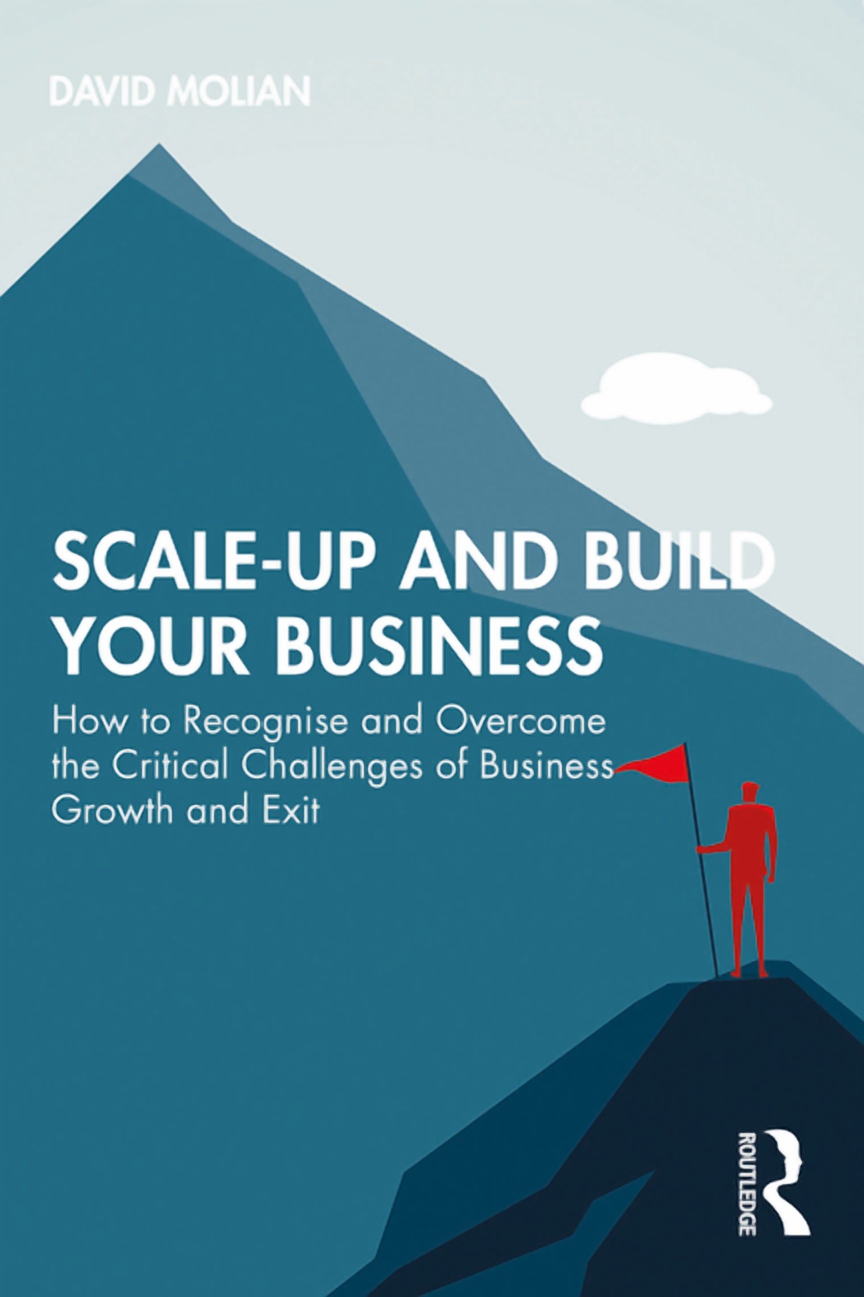 Scale-up and Build Your Business: How to Recognise and Overcome the ...