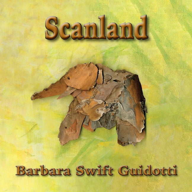 Scanland (Paperback) - Walmart.com