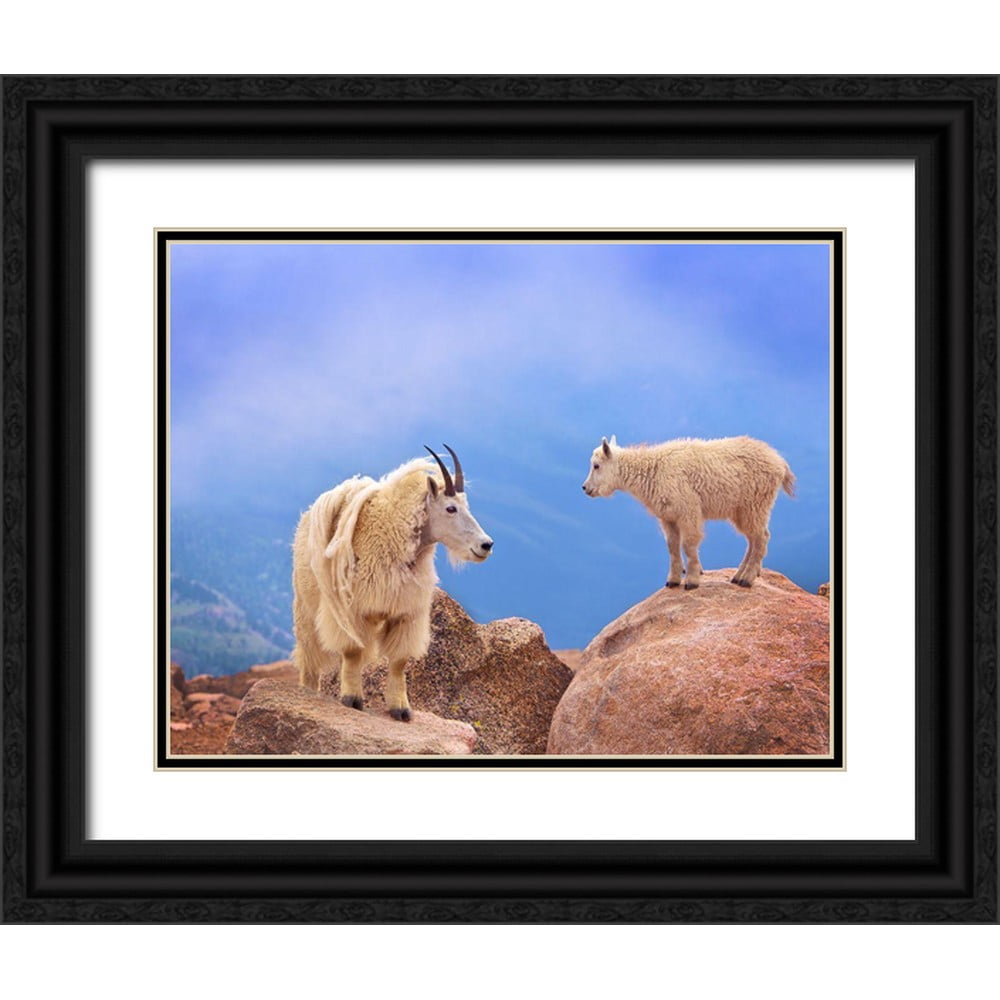 Scarbrough, David 24x19 Black Ornate Wood Framed with Double Matting ...