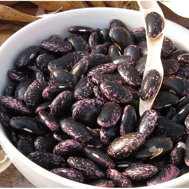 Scarlet Emperor Runner Bean Seeds for Planting (20 Seeds) - Delicious ...