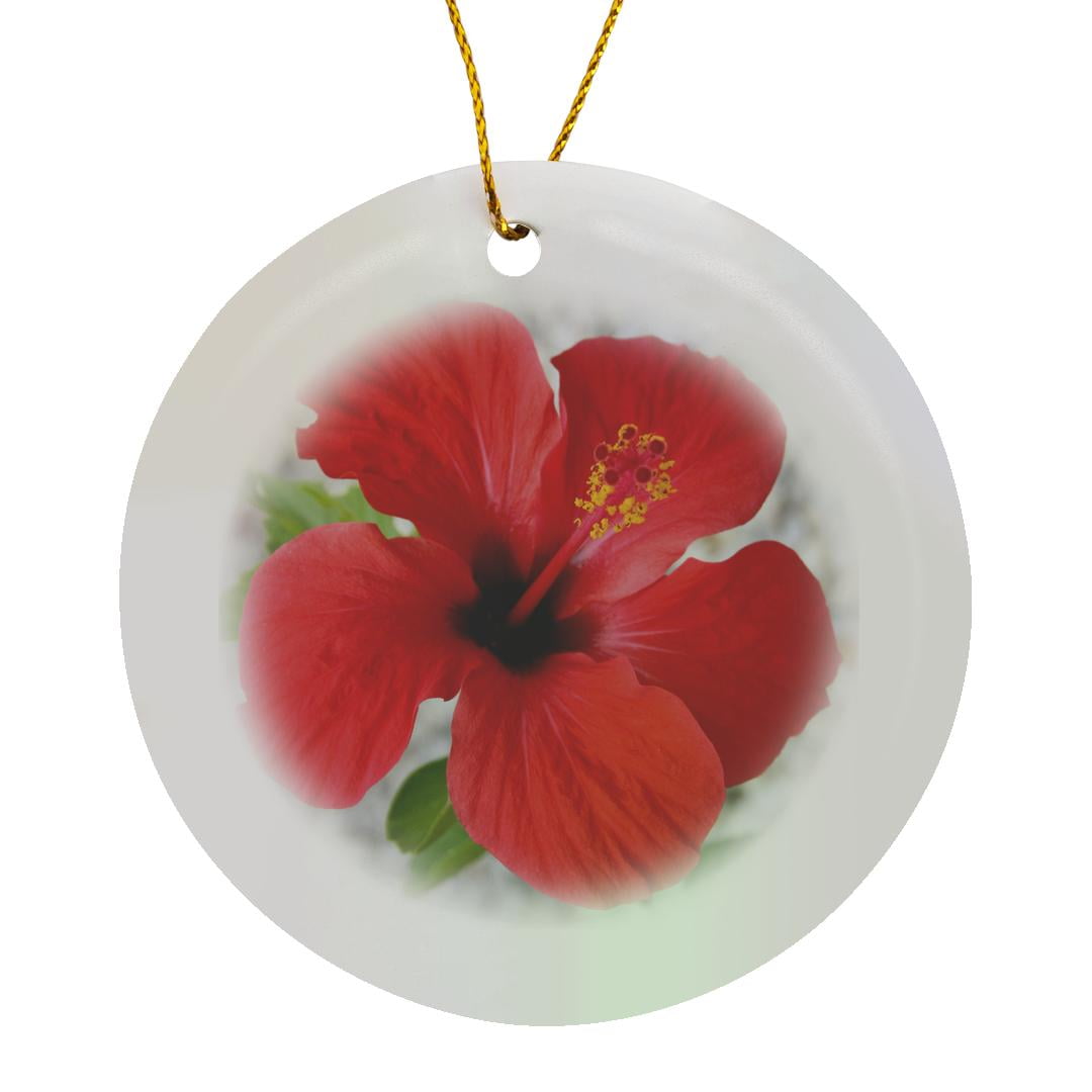 3drose, Scarlet Hibiscus - Bunga Raya, Flower, Flowers, Hibiscus ...