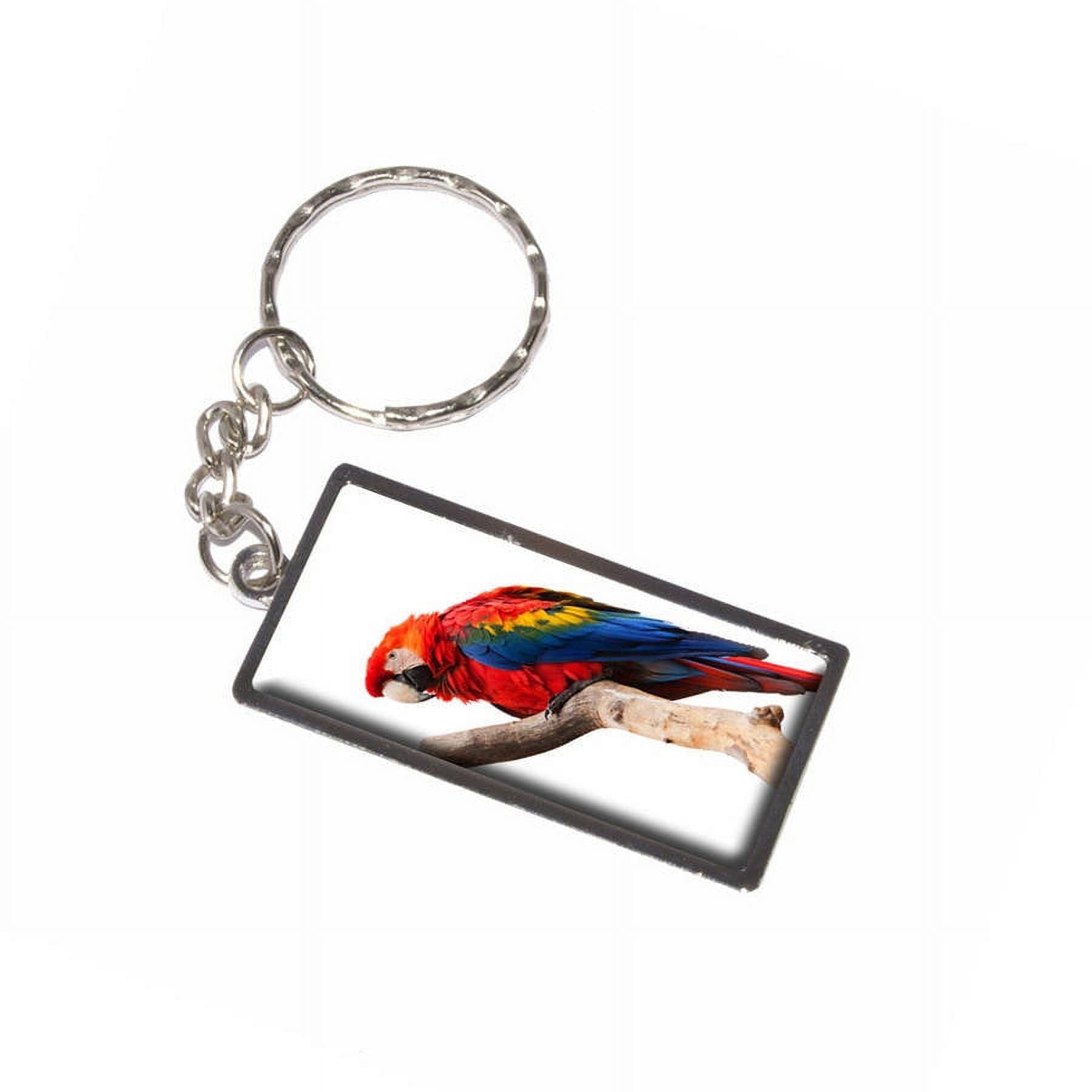 Scarlet Macaw Bird Parrot Keychain Key Chain Ring - Walmart.com