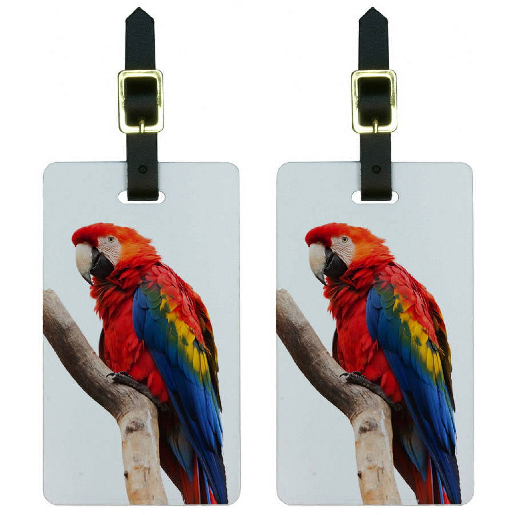 Scarlet Macaw Bird Parrot Luggage Tags Suitcase Carry-On ID, Set of 2 ...