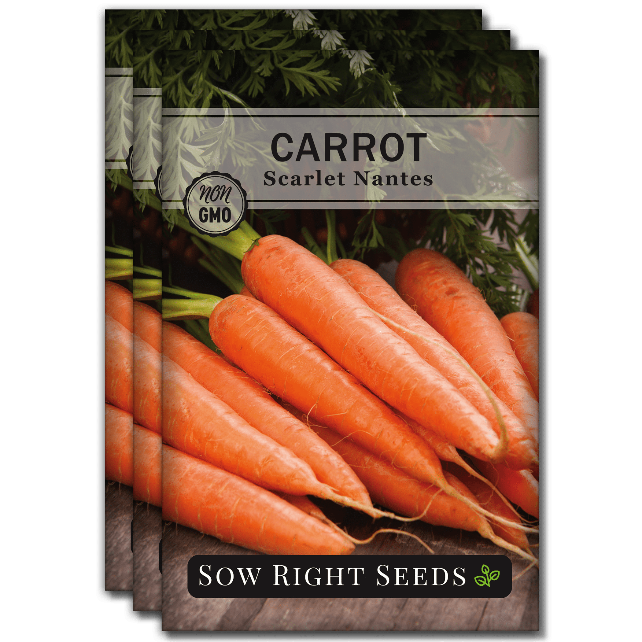 Scarlet Nantes Carrot Seeds - Non GMO Heirloom Varieties for your Home ...