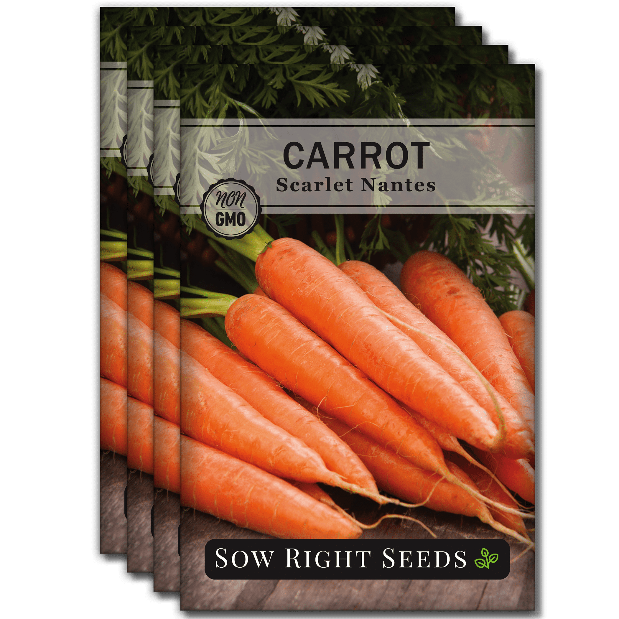 Scarlet Nantes Carrot Seeds - Non GMO Heirloom Varieties for your Home ...