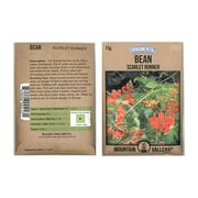 White Half Runner Beans Seeds
