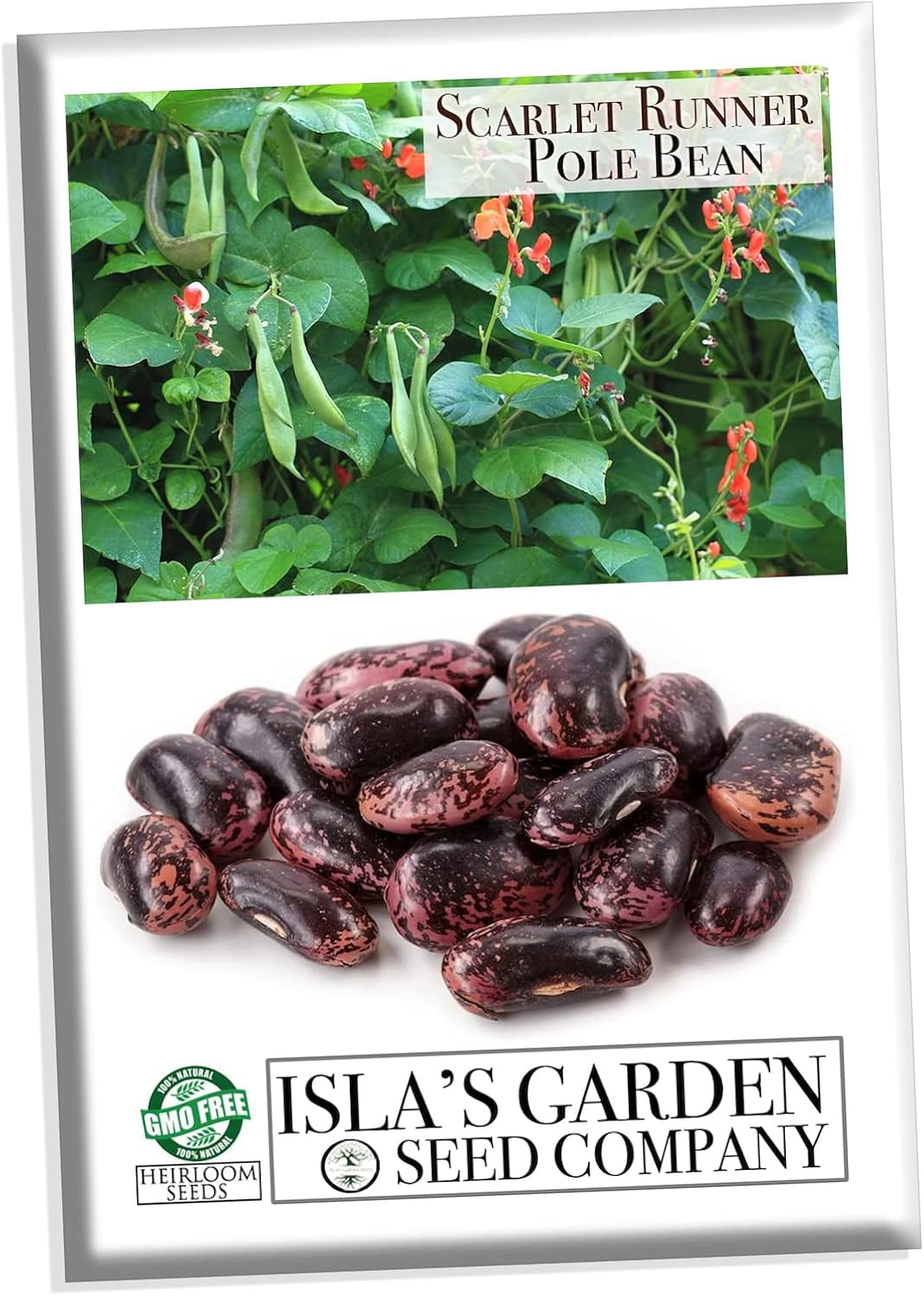 Scarlet Runner Pole Bean Seeds - 25+ Heirloom Non-GMO Seeds - Phaseolus ...