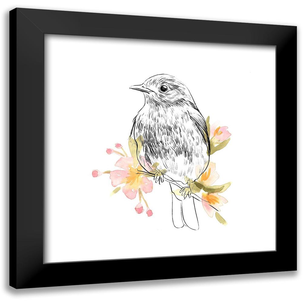 Scarvey, Emma 15x15 Black Modern Framed Museum Art Print Titled - Robin ...
