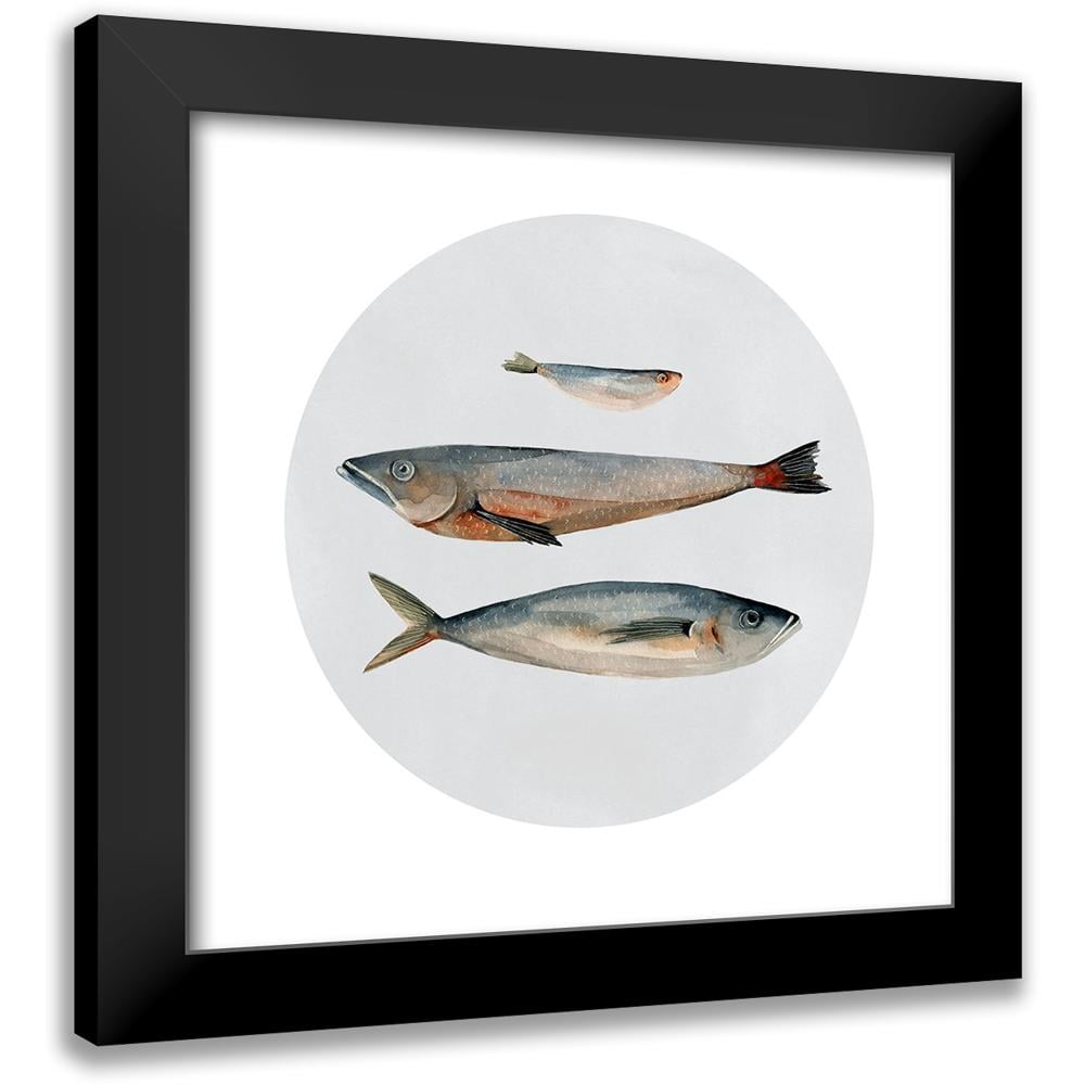 Scarvey, Emma 20x20 Black Modern Framed Museum Art Print Titled - Three ...