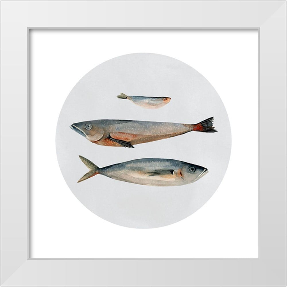 Scarvey, Emma 20x20 White Modern Wood Framed Museum Art Print Titled ...