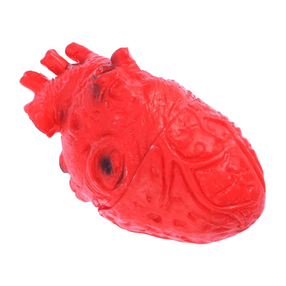Scary Bloody Simulation Heart Organ Realistic Life Size Halloween Party ...