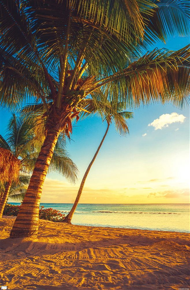 Scenery - Sunset on the Beach Wall Poster, 14.725" x 22.375" - Walmart.com