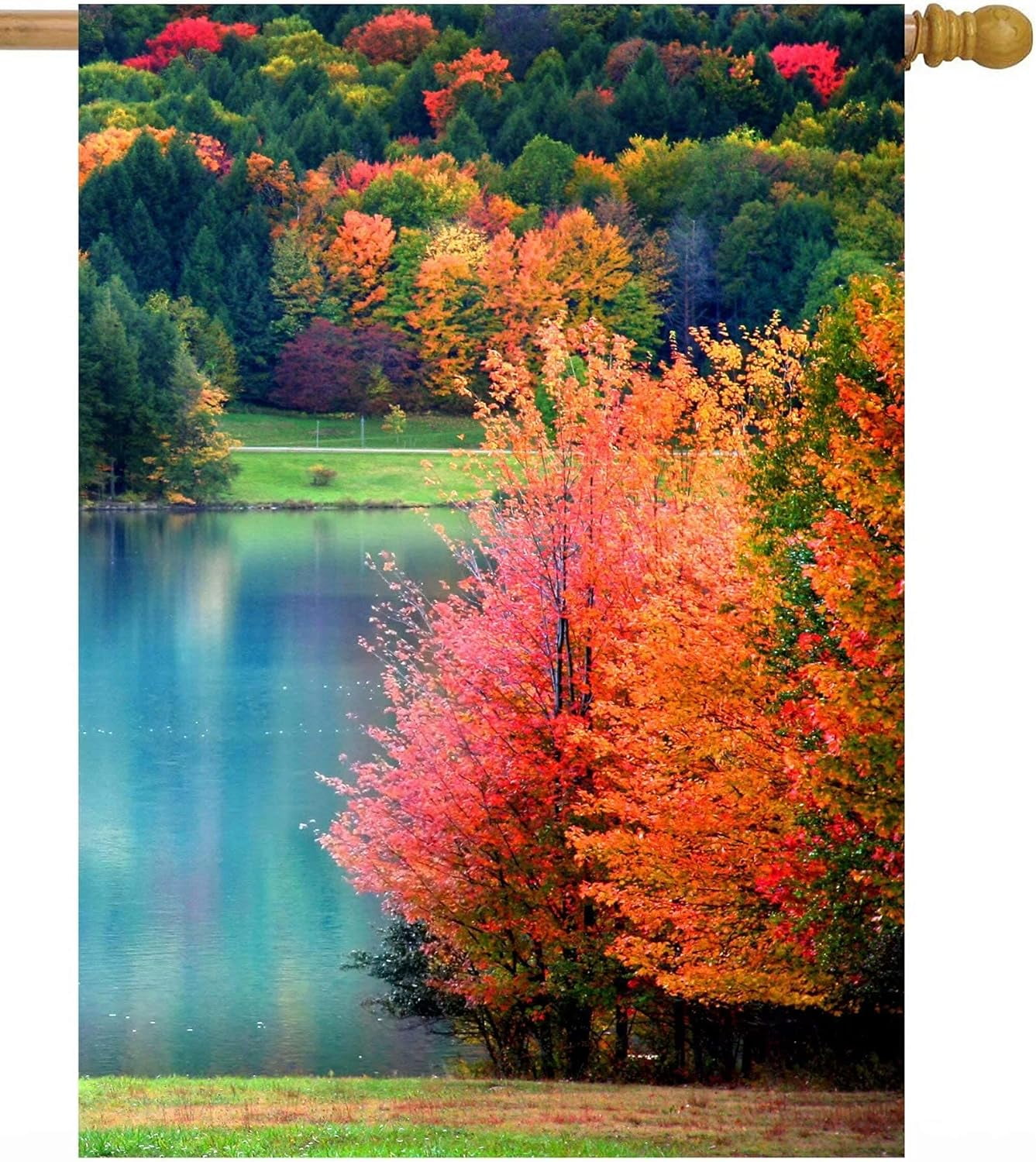 Scenic Autumn Landscape Colorful Trees Lake River Pond in Forest House ...