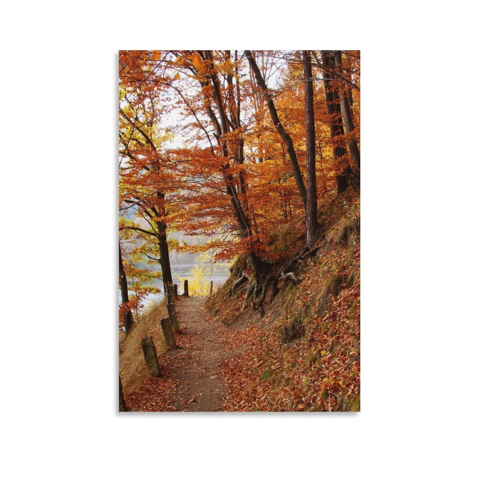 Scenic Fall Trails through Colorful Forests Poster Room Aesthetic ...