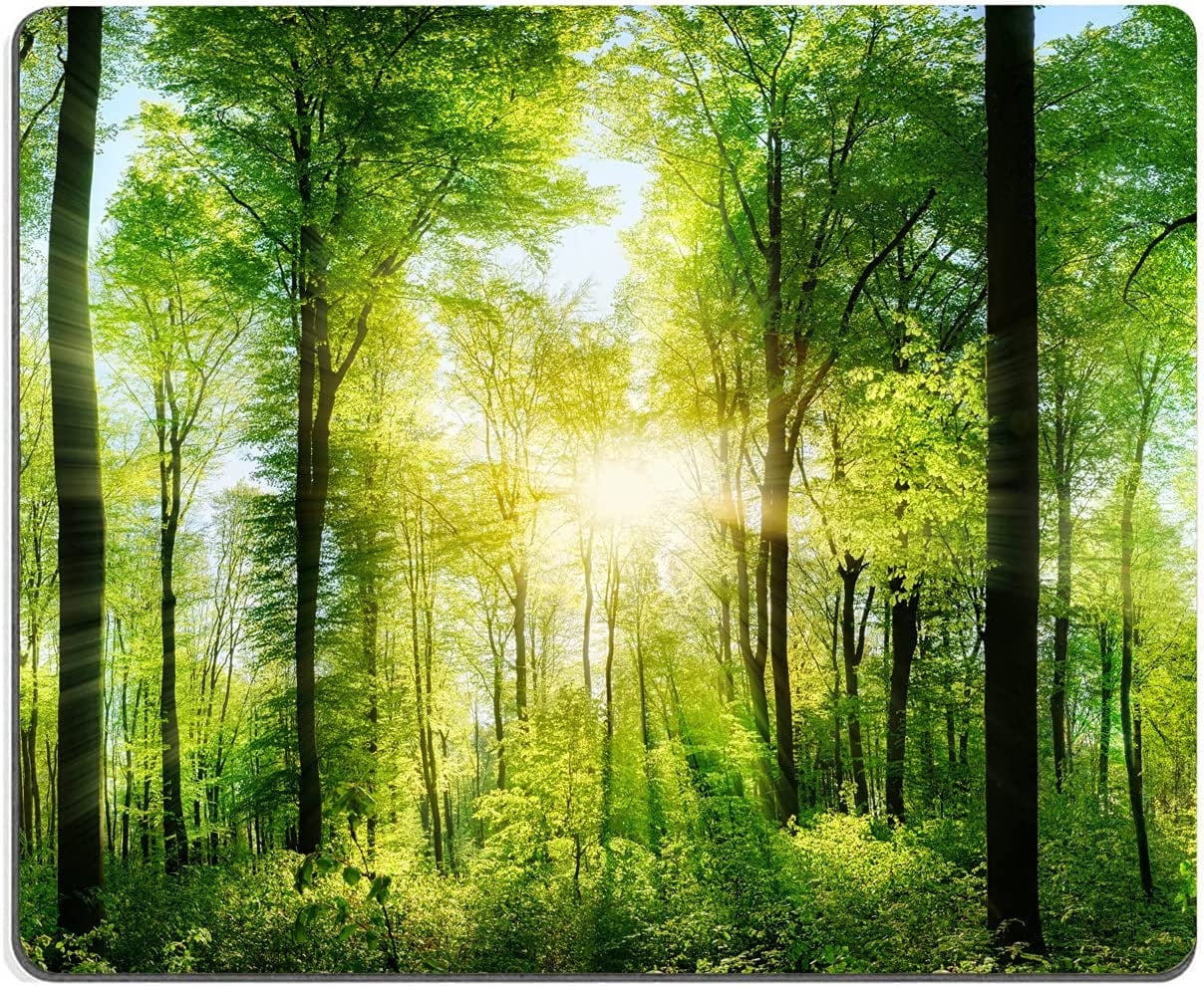 Scenic Forest Mouse Pad, Fresh Green Deciduous Trees Mouse Pad ...