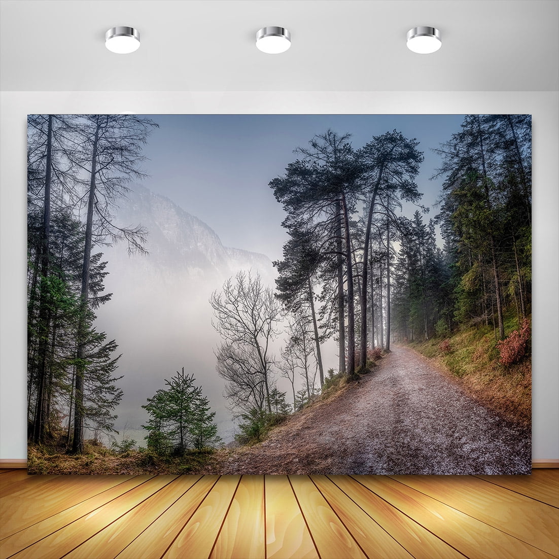 Scenic Photography Backgrounds Park Mountain Fog Path Spooky Photo ...