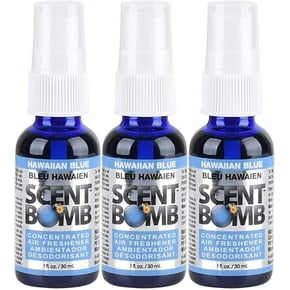 Car Air Freshener Bombs in Car Air Fresheners - Walmart.com