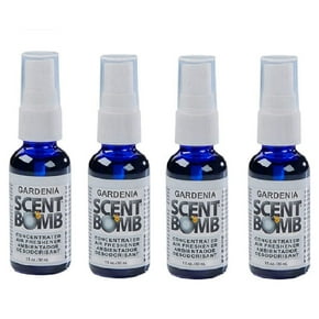 Car Air Freshener Bombs in Car Air Fresheners - Walmart.com