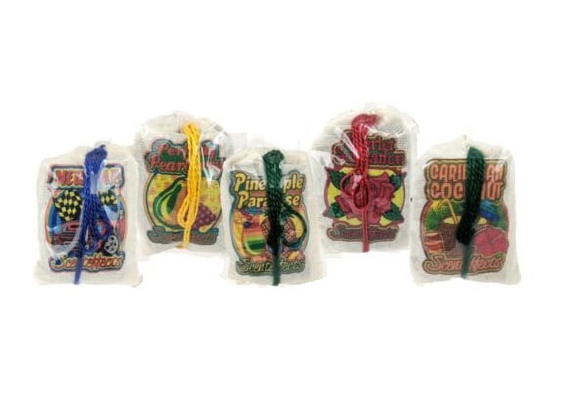 Scenteffects Pack of 5 Powerful Hanging Auto Air Freshener | Assorted ...