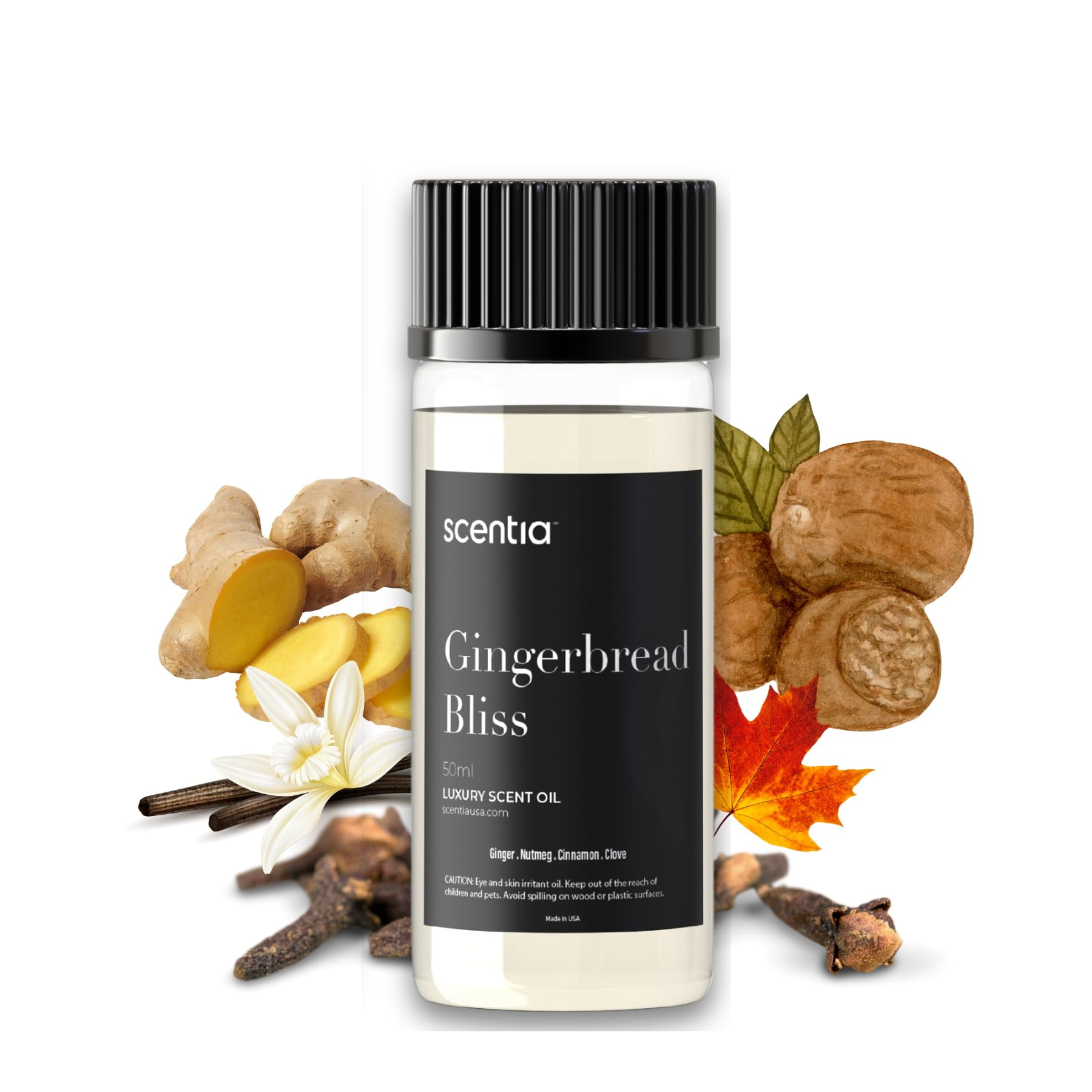 Scentia Gingerbread Bliss Fragrance Oil – 50ml Holiday Diffuser Oil ...