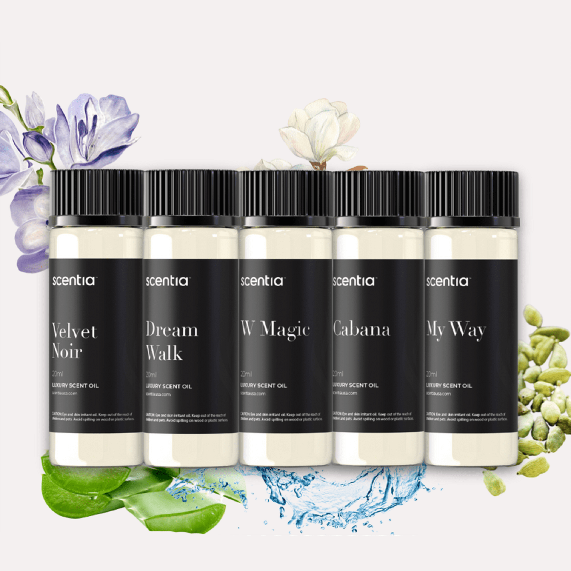 SCENTIA Hotel Collection Diffuser Oil Set, Floral Citrus Scents, 20 ml ...