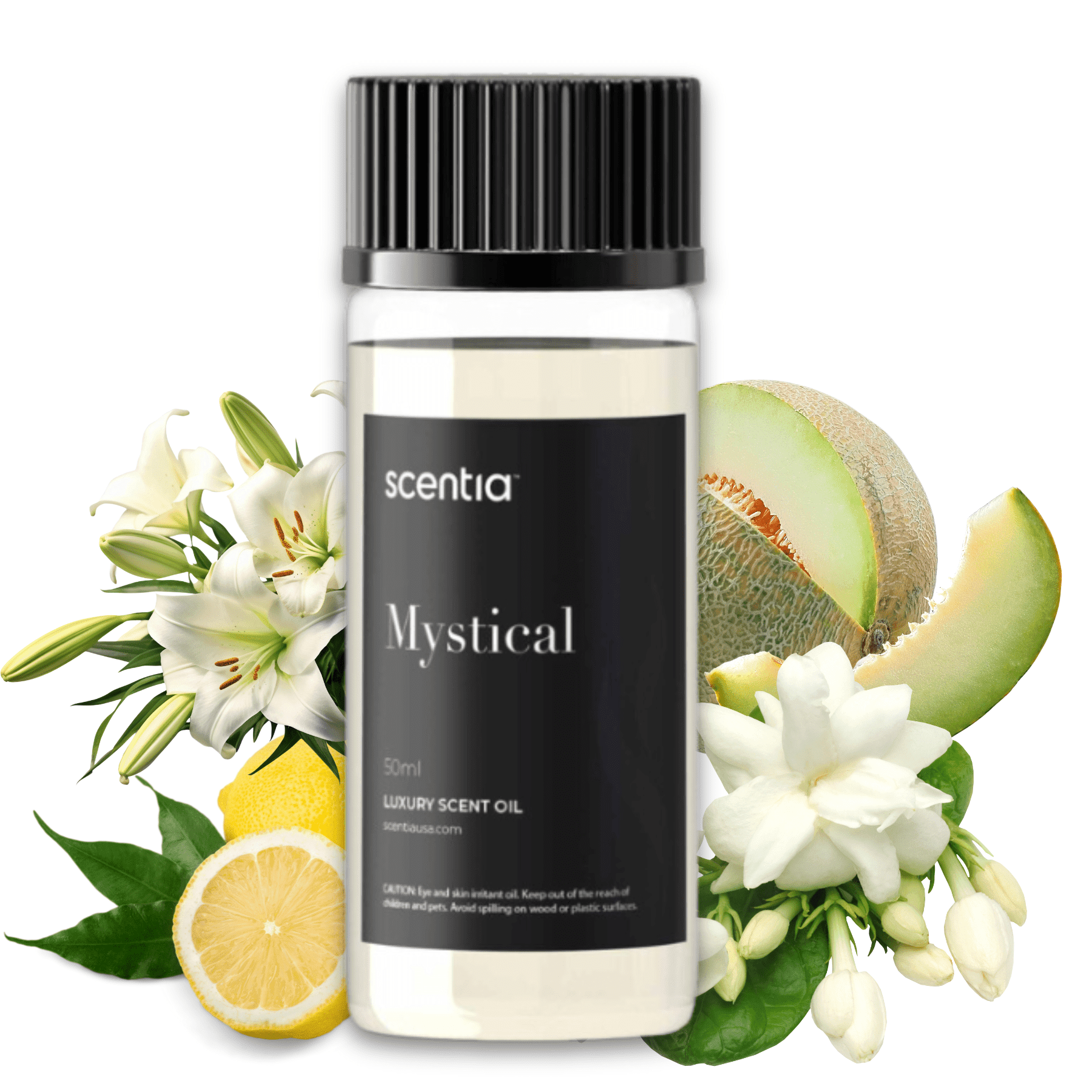 Scentia Hotel Diffuser Oil Inspired by The Wynn,50 mL 1.69 fl oz-Cold ...