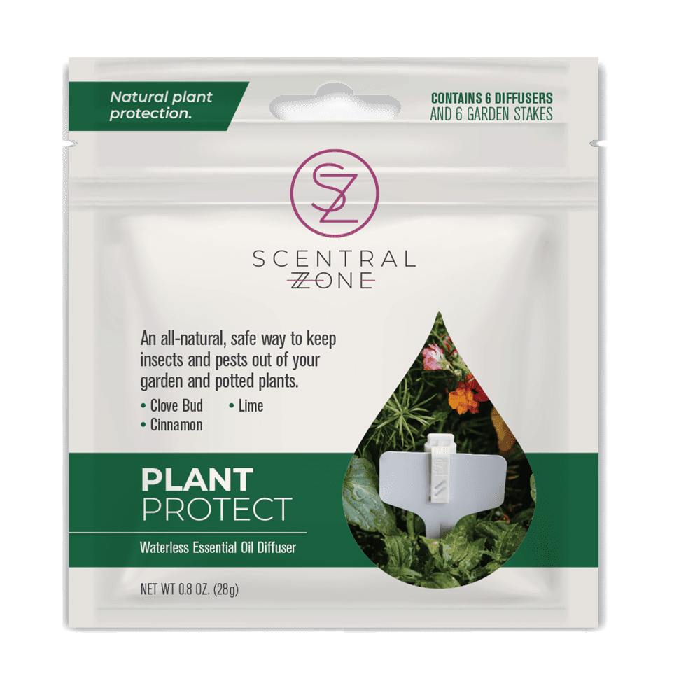 Scentral Zone Plant Protect Waterless Essential Oil Diffuser, 6-Pack w ...