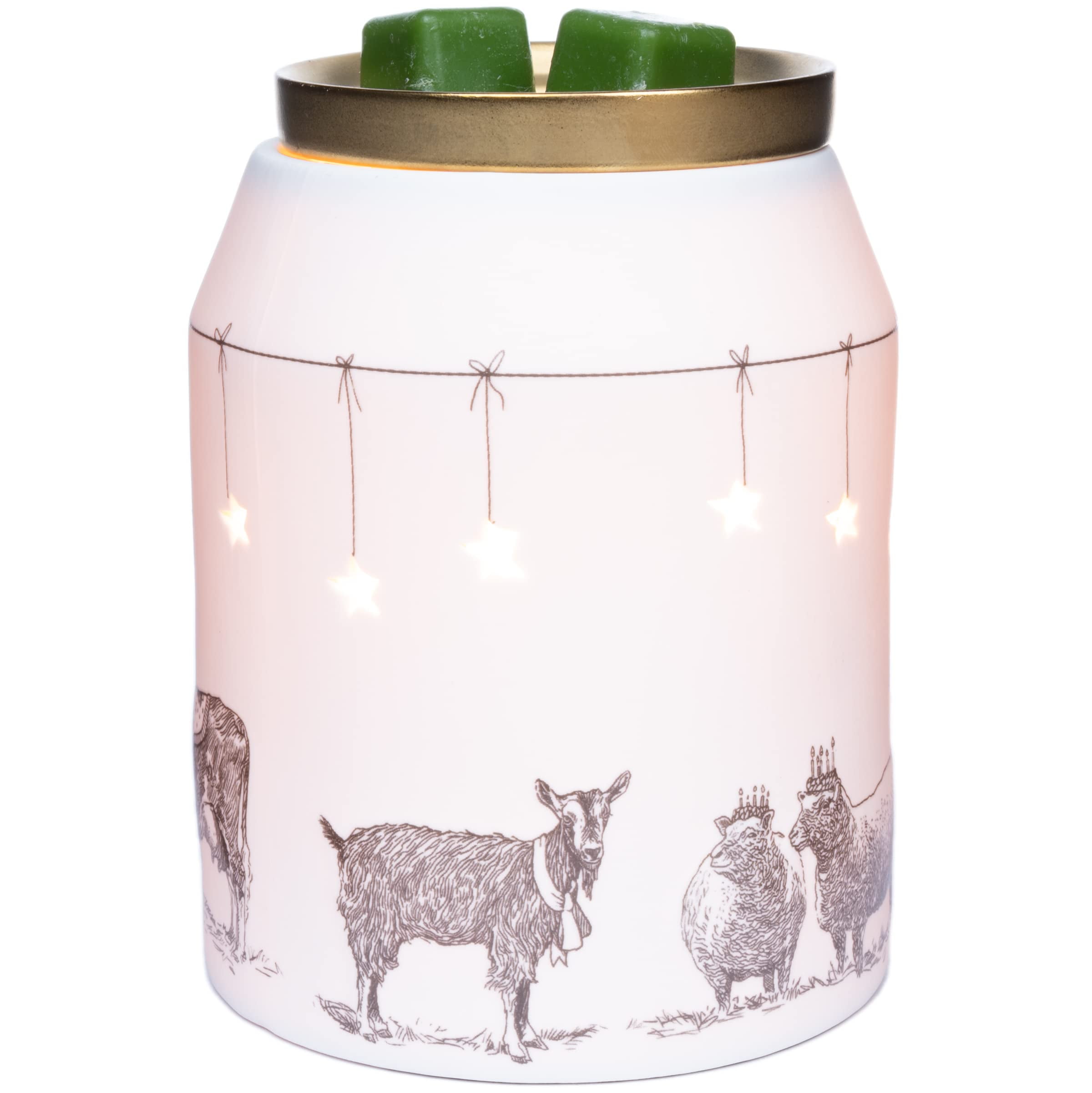 Scentsationals Wax Melt Warmer, Wax Warmer for Scented Wax Melts ...