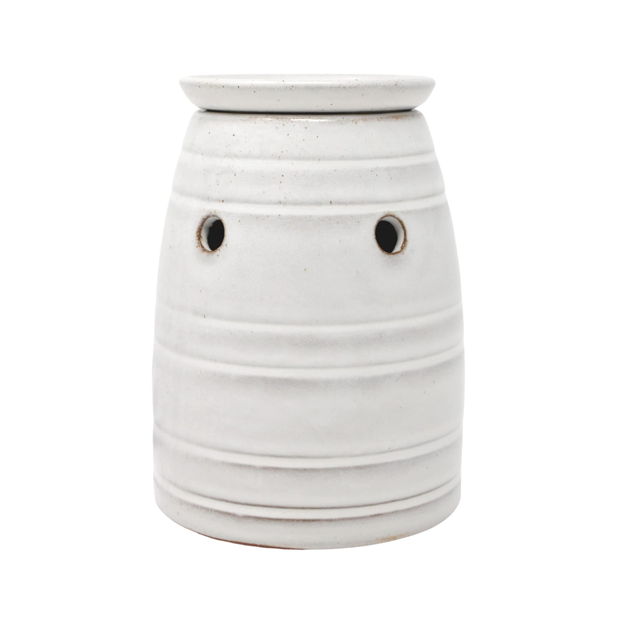 Scentsationals Wax Melt Warmer, Wax Warmer for Scented Wax Melts ...