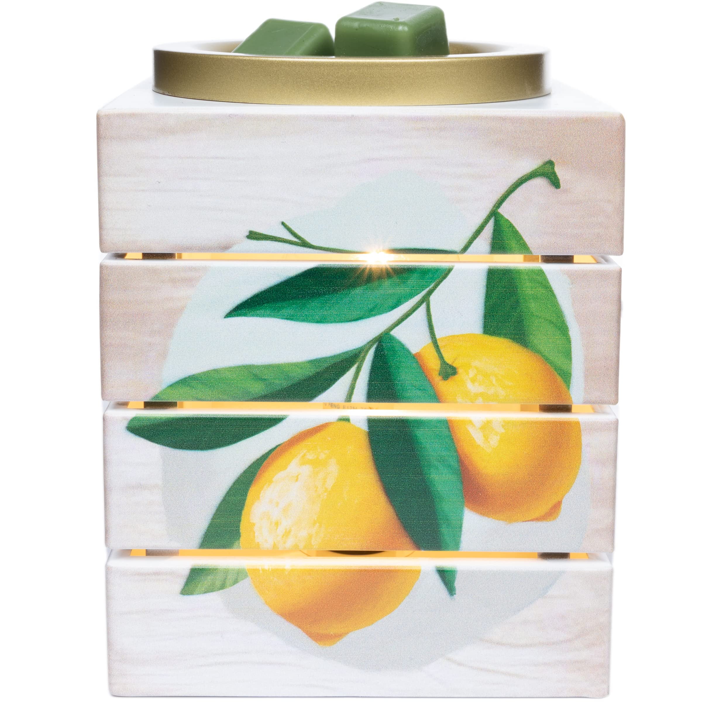 Scentsationals Wax Melt Warmer, Wax Warmer for Scented Wax Melts ...