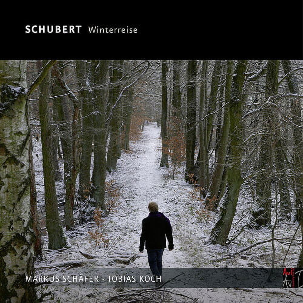 Schafer Koch - Die Winterreise - Music & Performance - CD - Walmart.com