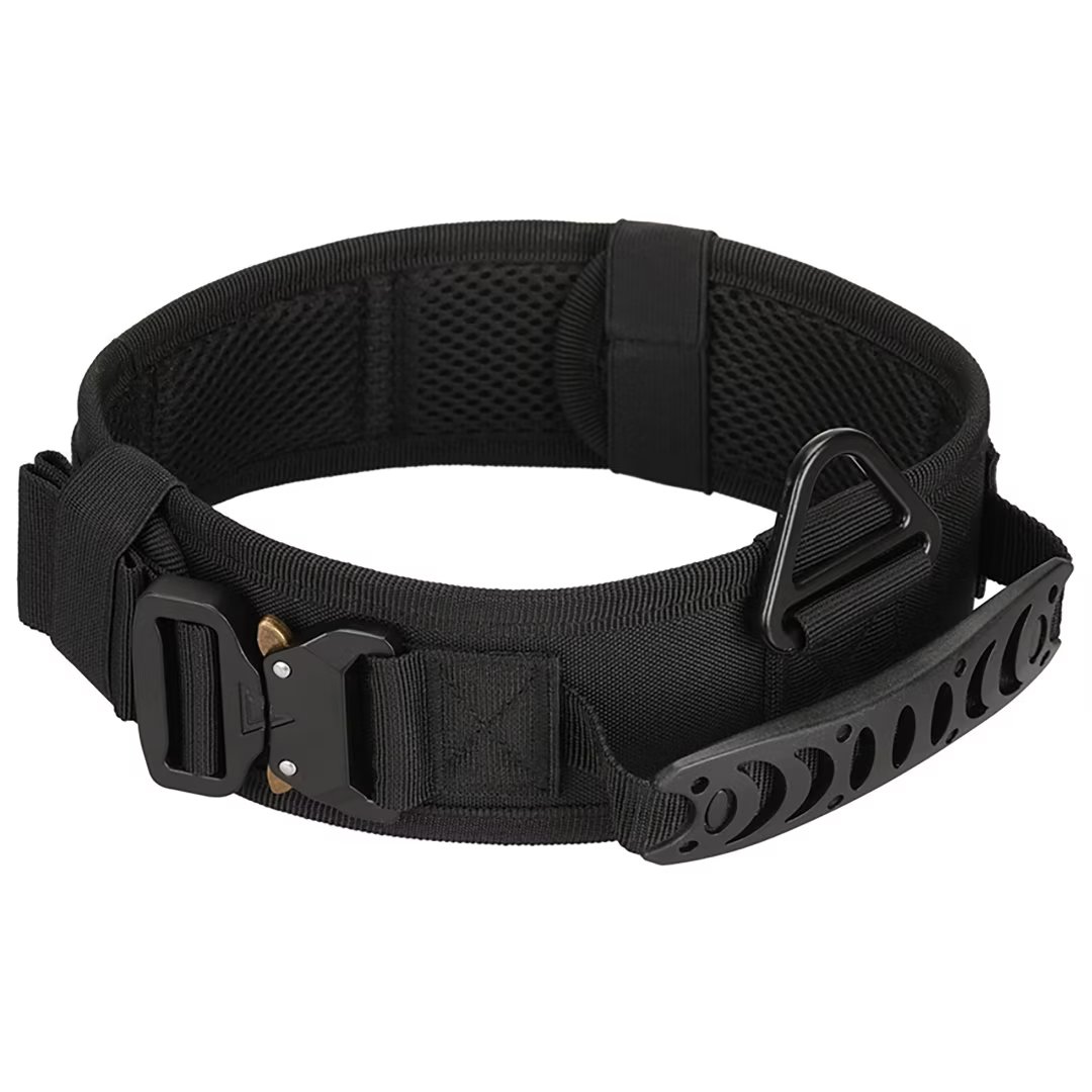 Dogtra Extra Dog Collar Strap, Green, 3/4" x 32" - Walmart.com
