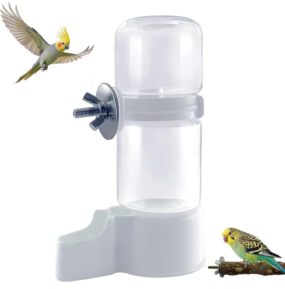 Scheam 1 Pcs Parrot Water Feeder,Pet Bird Automatic Water Dispenser ...