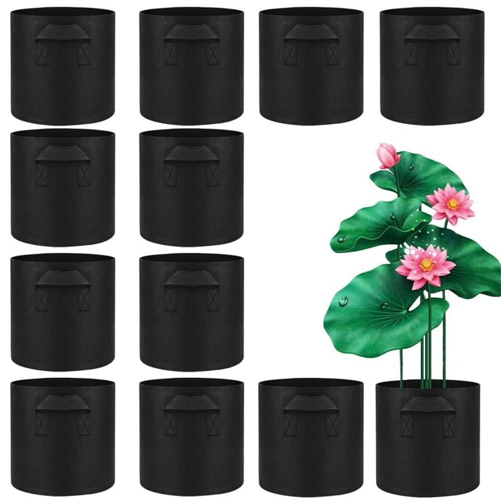 Scheam 2 Gallon Aquatic Lily Plant Pots,12 Pcs Floating Pond Plants ...