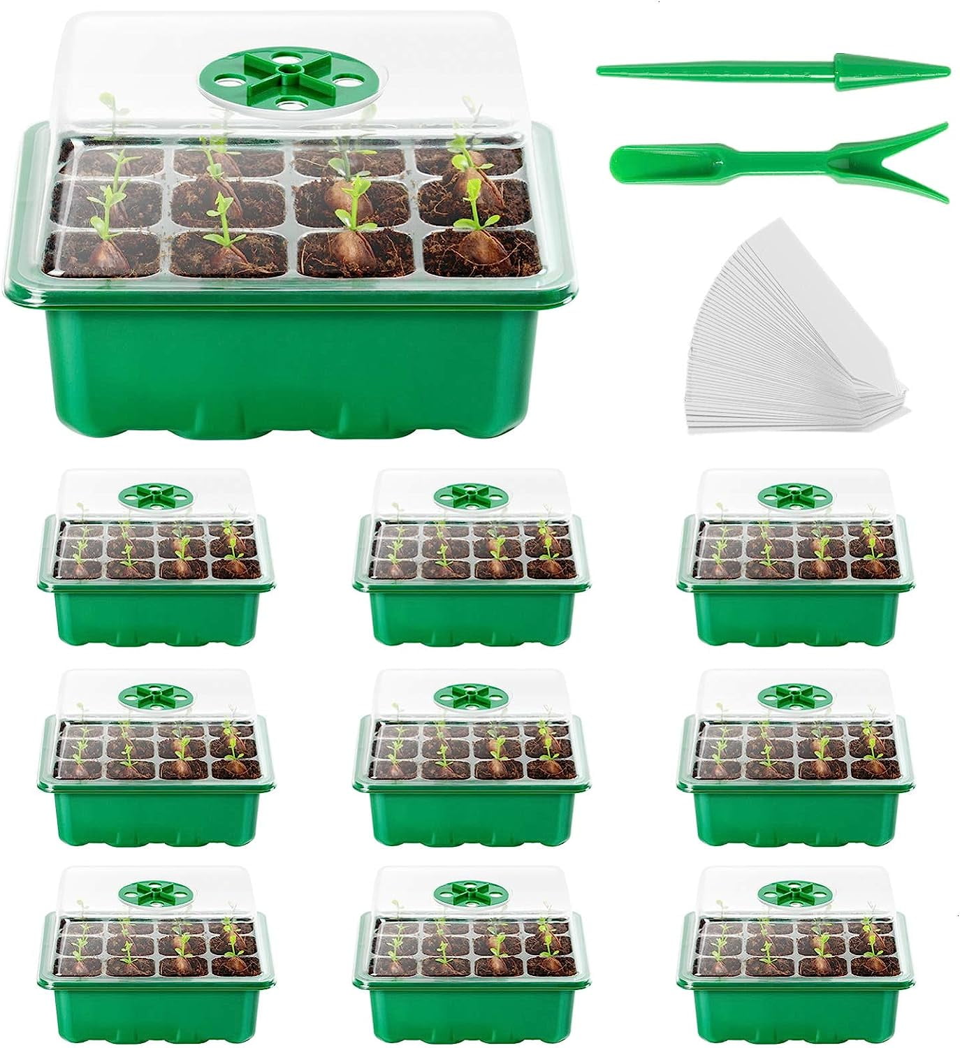 Scheam Seed Starter Tray 10 Pcs Seed Trays with Humidity Adjustment ...